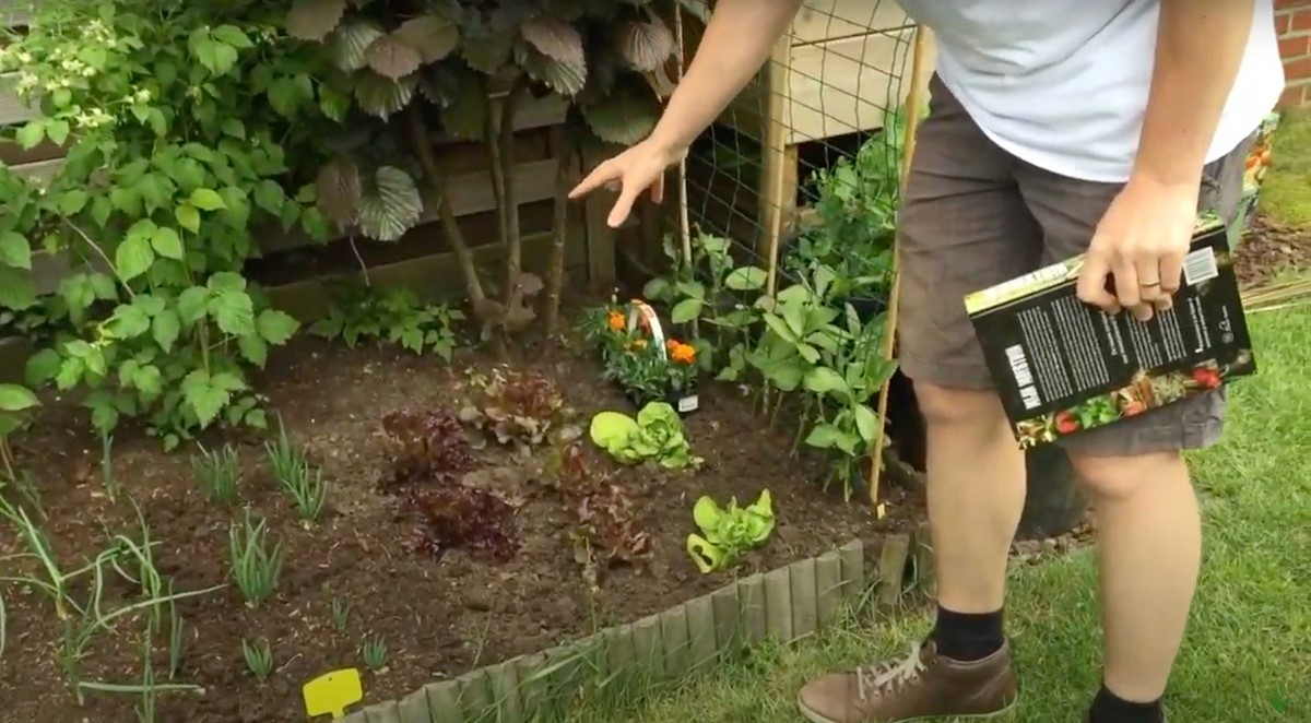 Een moestuin inrichten, hoe doet u dat? - Uw Tuingids