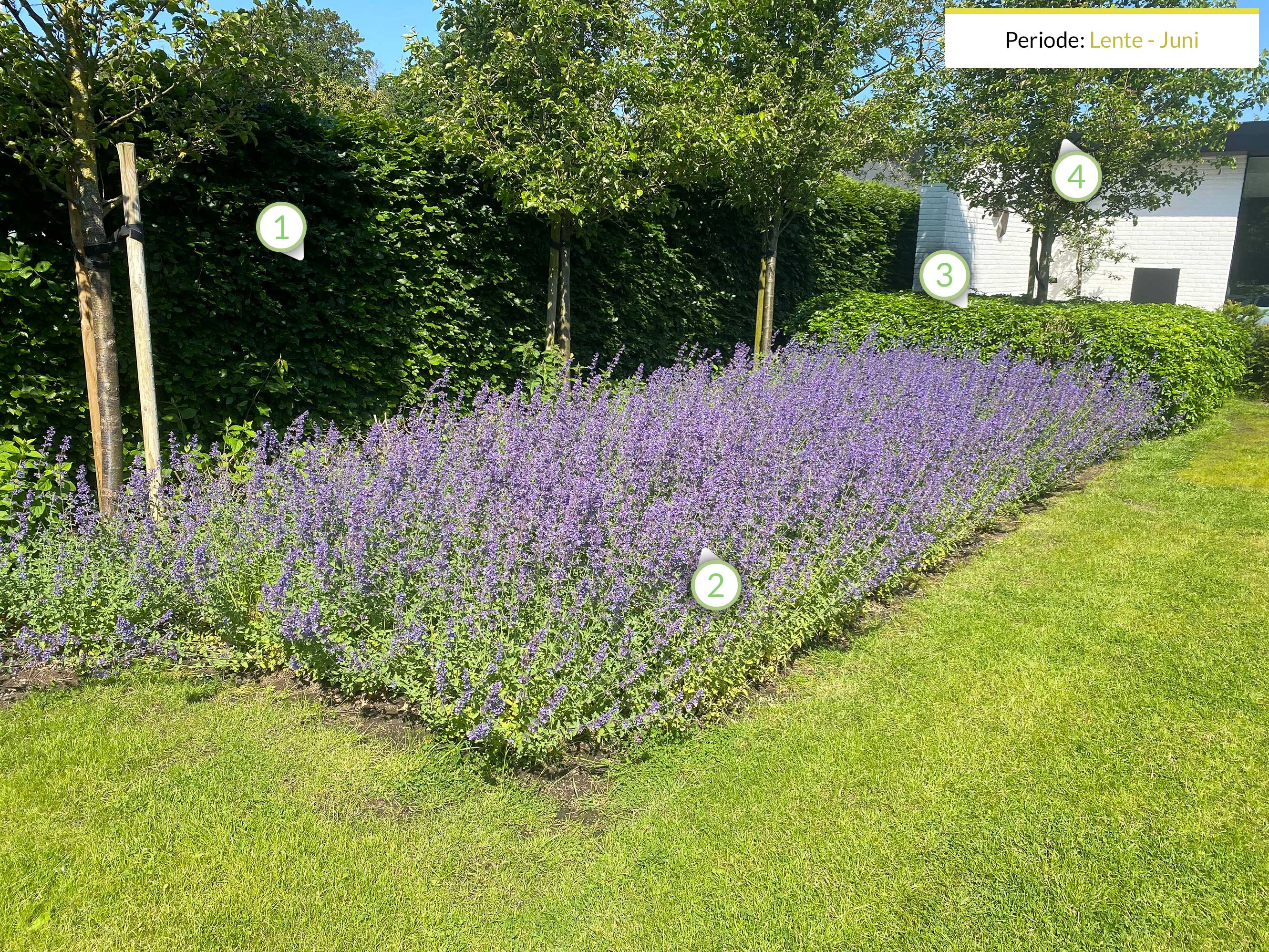 Landelijke tuin met zwembad - Lochristi - Uw Tuingids