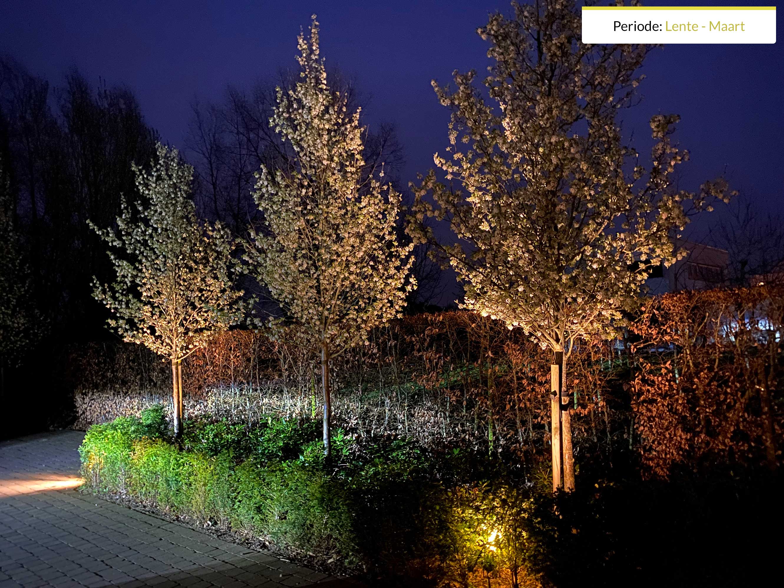 Landelijke tuin met zwembad - Lochristi - Uw Tuingids